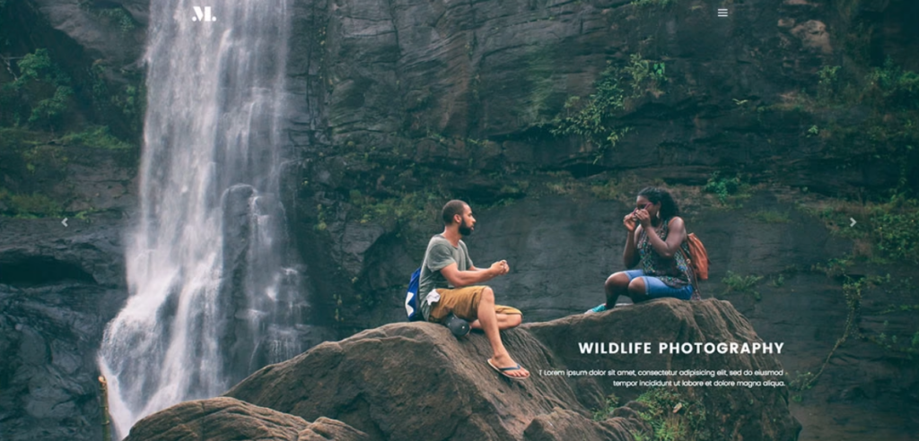 Download free hotels and flights travel Landing Pages (HTML, PSD)